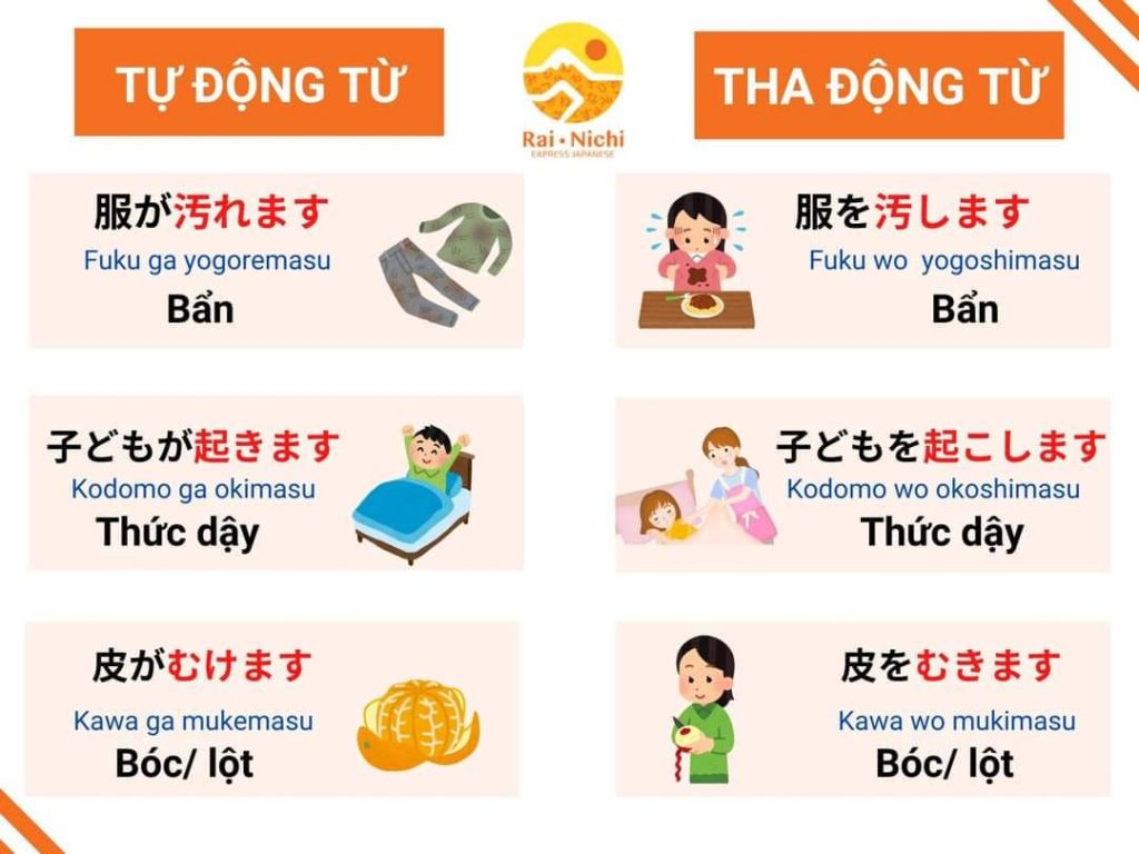 Tổng hợp 120 cặp Tự Động Từ và Tha Động Từ trong tiếng Nhật